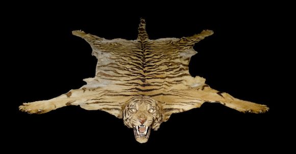 Bonhams : A tiger skin with full mounted head by Van Ingen & Van Ingen ...