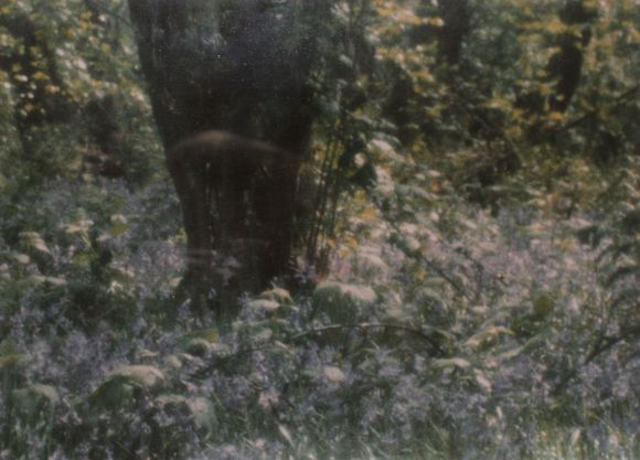 Bonhams : Lord Patrick Lichfield (1939-2005) British 'Titchmarsh Nature Reserve ...