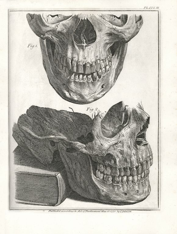 Bonhams : DENTISTRY HUNTER (JOHN) The Natural History of the Human ...