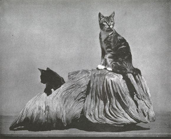 Bonhams : PHOTOGRAPHY and CATS WESTON (EDWARD) and CHARIS WILSON. The ...