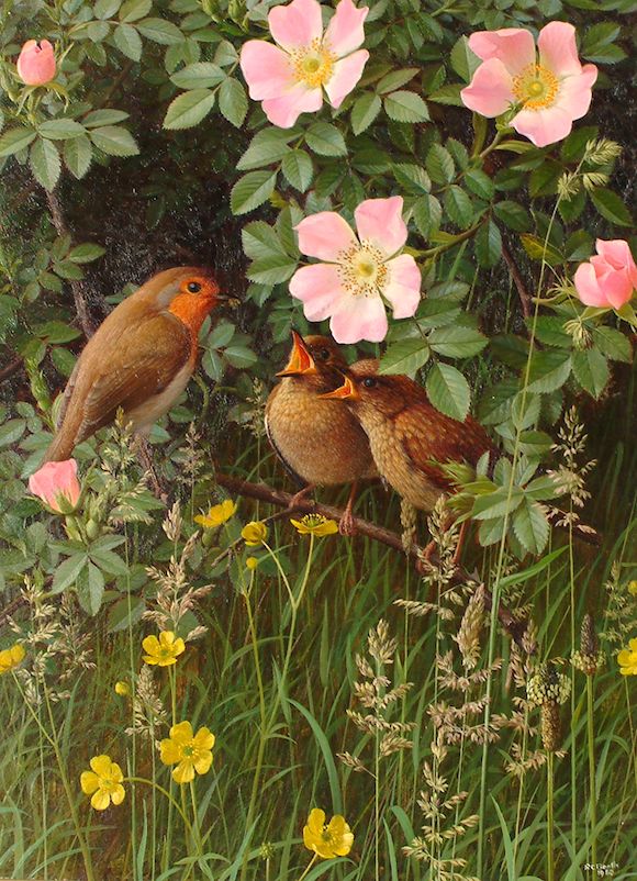 Bonhams : Raymond Booth (British, b.1929) Robin feeding young