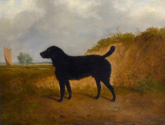 Bonhams : W.J. Gilbert (British, mid 19th Century) A black curly coated ...