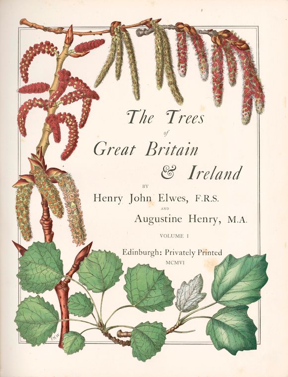 Bonhams : ELWES (HENRY JOHN) and AUGUSTINE HENRY The Trees of Great ...