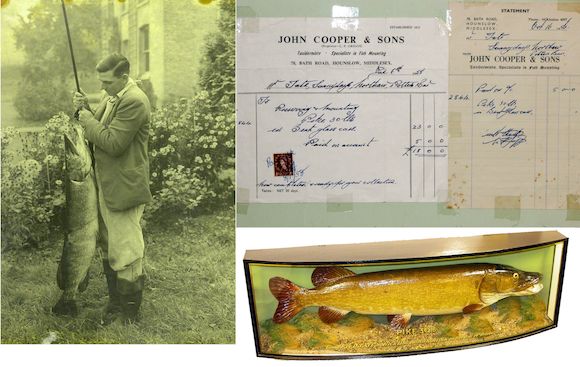 Bonhams : A 30lb Pike mounted in a gilt lined bow front case over an ...