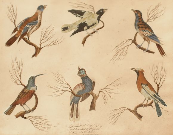 Bonhams : J** Goff (British, 19th Century) Study of birds