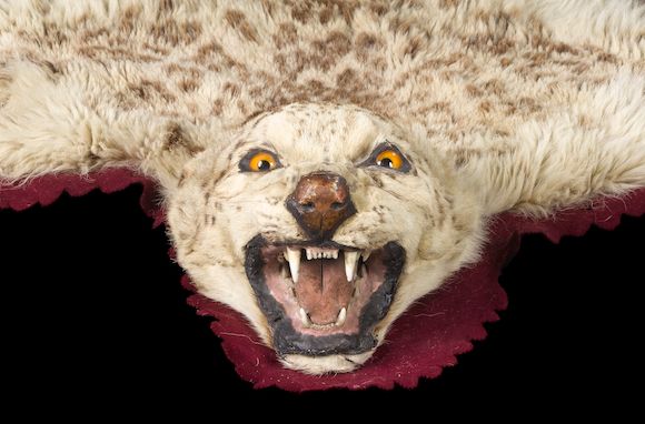 Bonhams : A snow leopard skin rug with full mount head retailed by Harrods