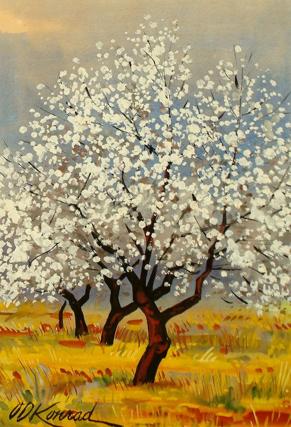 Bonhams : ***Konrad Tree in blossom