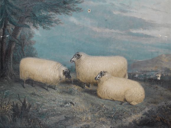 Bonhams : (n/a) Richard Whitford (British, 1854-1887) Prize sheep at ...