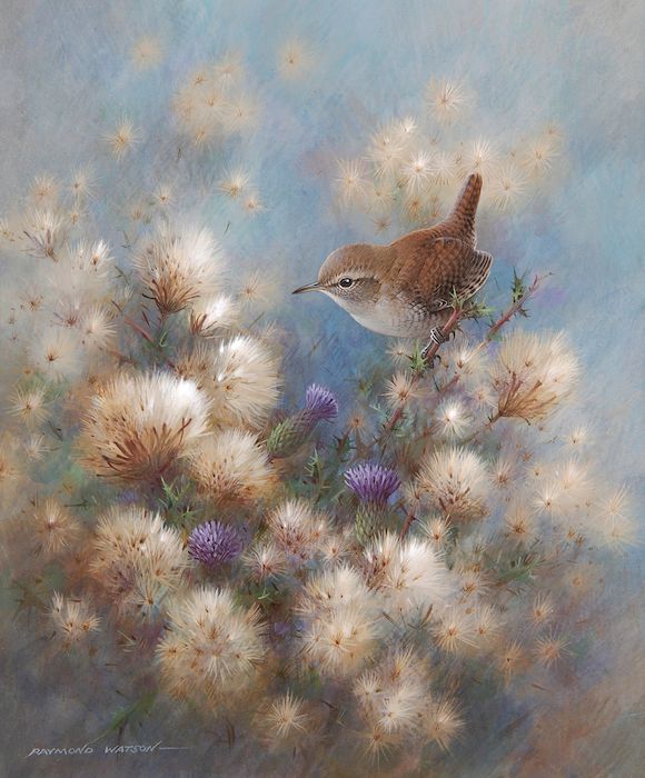 Bonhams : Raymond C. Watson (British, born 1935) Wren amidst thistle ...