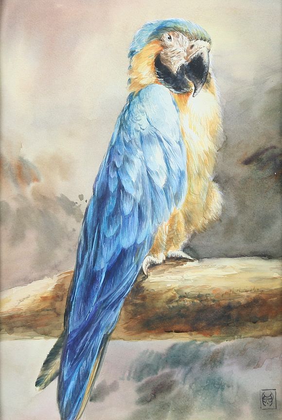 Bonhams : Winifred Marie Louise Austen (British, 1876-1964) Parrot on a ...