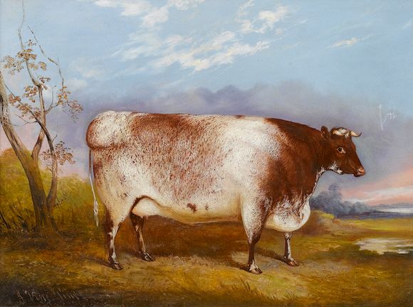Bonhams : John Vine of Colchester (British, 1809-1867) A short-horned ...