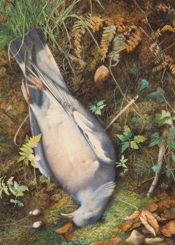 Bonhams : John Sherrin (British 1819-1896) Still life with dead pigeon ...