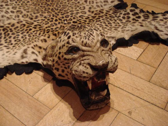 Bonhams : A Cheetah skin rug with mounted head