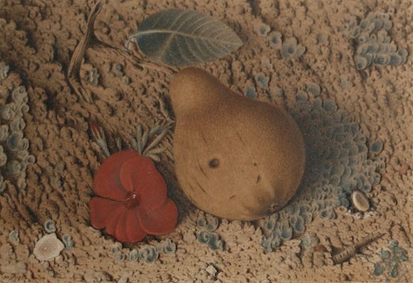 Bonhams : William Henry Hunt (British, 1790-1864) Still life of a pear