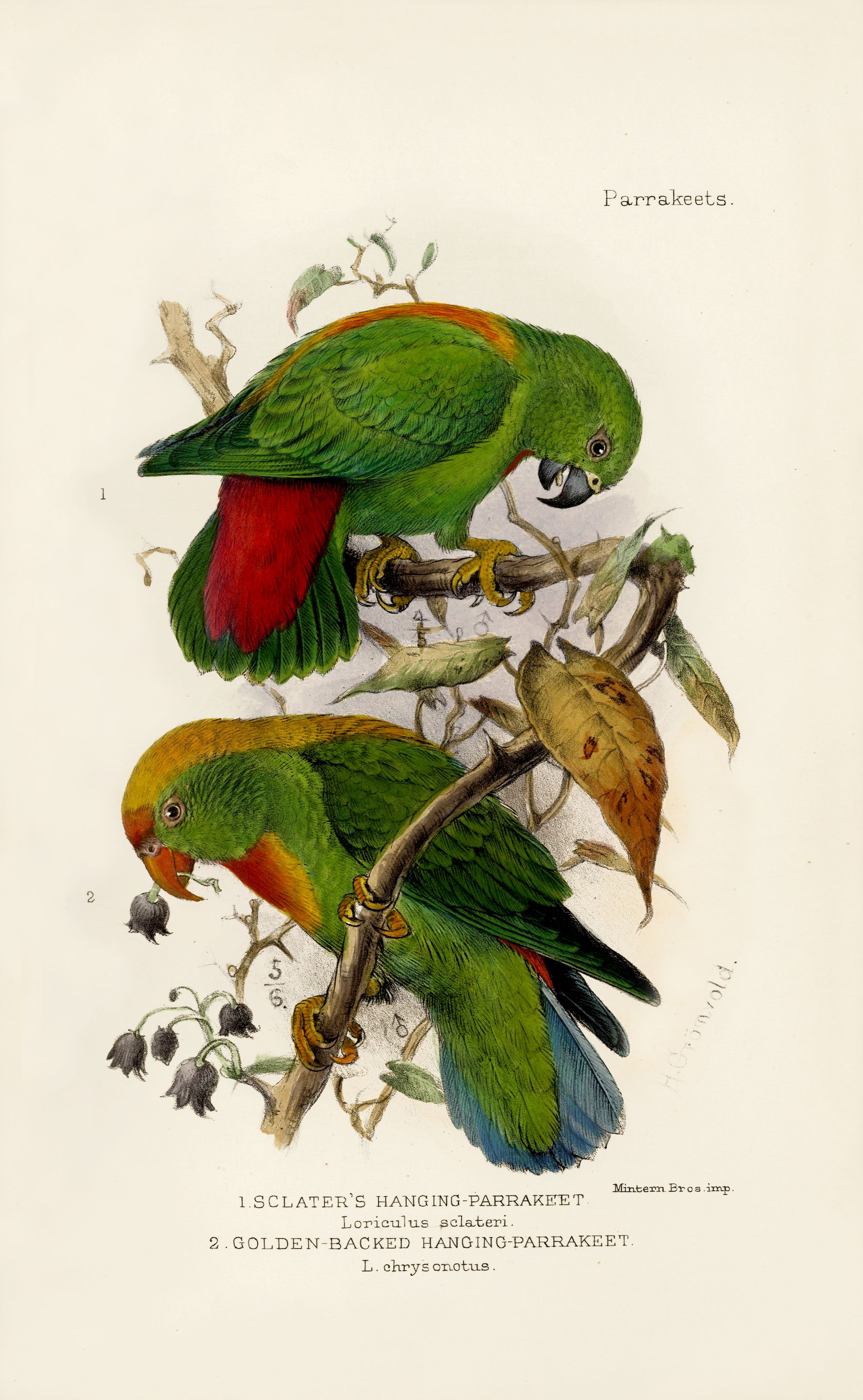 Karl Russ: upcoming auctions, appraisal insights and free art price ...