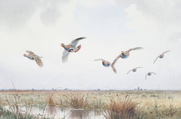 Bonhams : John Cyril Harrison (British, 1898-1985) Partridge in flight ...