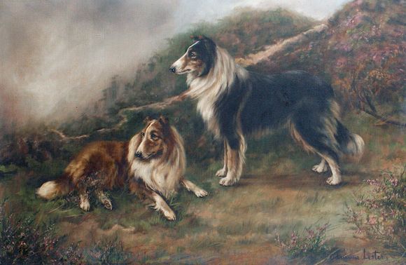 Bonhams : Adrienne Lester (British, 20th Century) Two Collies in an ...
