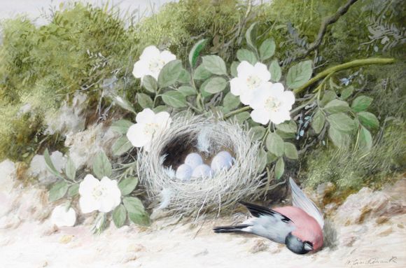 Bonhams : William Cruickshank (British, 1848-1922) Still life of dog ...