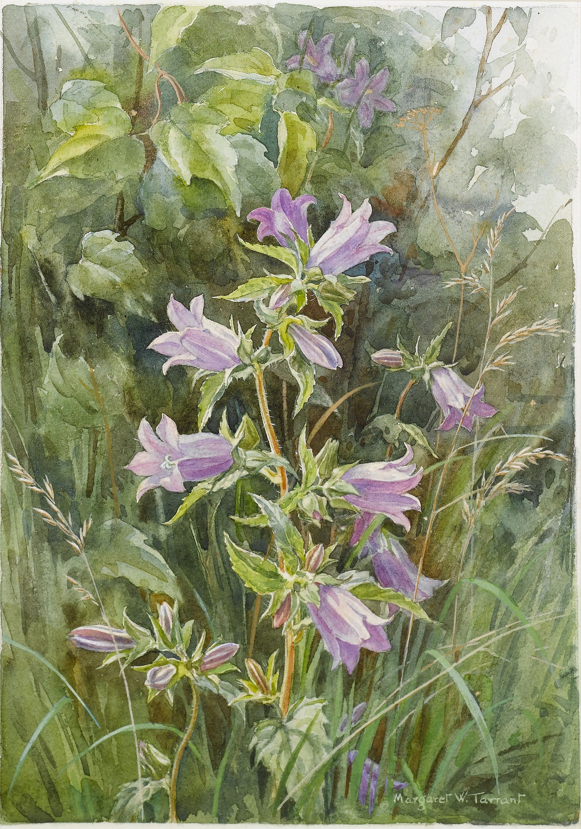 Margaret Winifred Tarrant - lots in our price database - LotSearch