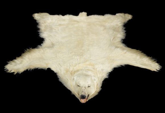 Bonhams : A fine polar bear skin rug with full mount head by the Hudson ...
