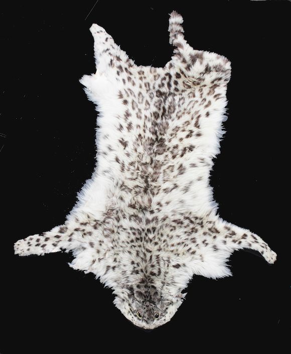 Bonhams : A complete snow leopard skin