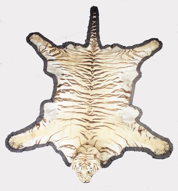 Bonhams : A tiger skin with mounted head, Van Ingen and Van Ingen, Mysore