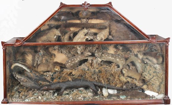 Bonhams : A rare mid-19th century case of extraordinary Australian ...
