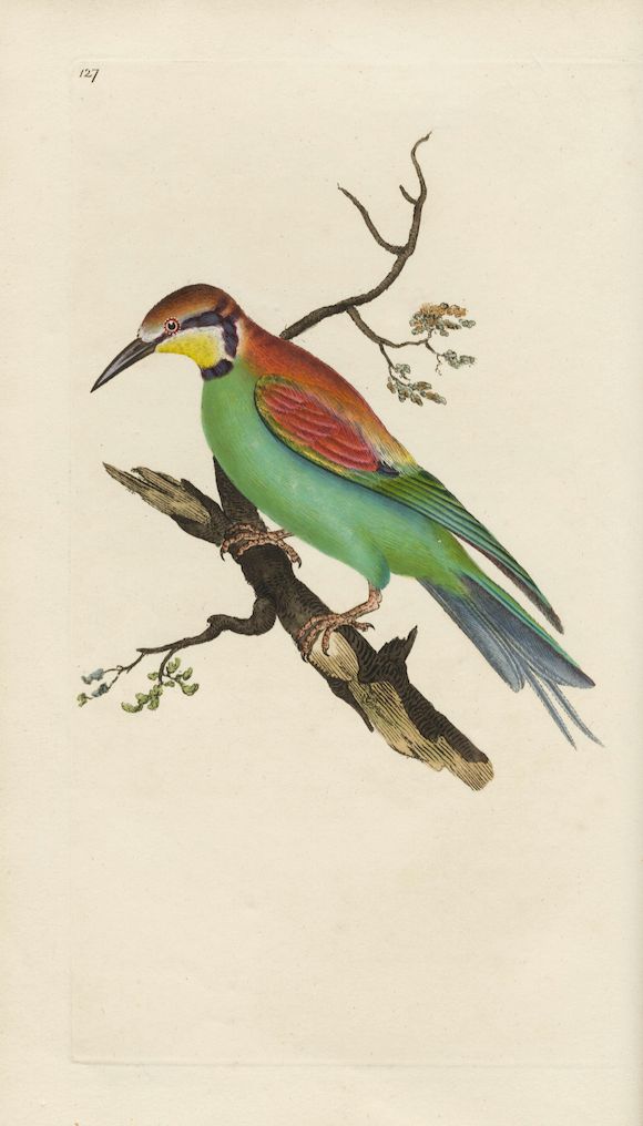 Bonhams : DONOVAN (EDWARD) The Natural History of British Birds; Or, A ...