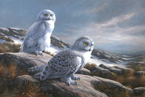Bonhams : Raymond C Watson (British, 1935) Snowy Owls in a Winter ...
