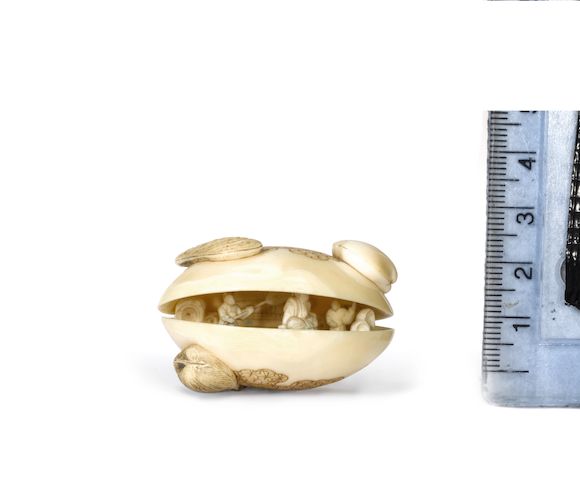 Bonhams : An walrus tusk netsuke of a clam By Yoshichika, 19th century