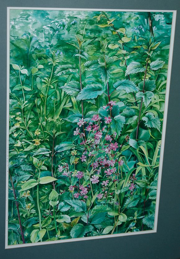 Bonhams : Tom Davison June- Red Campions and March,