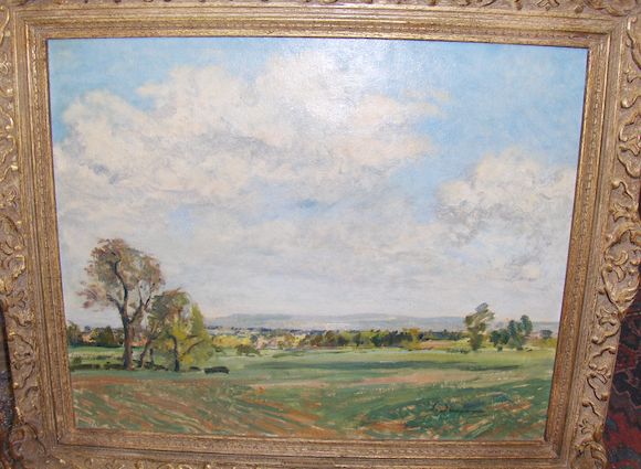 Bonhams : Stephen Denison Extensive country landscape