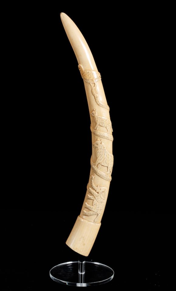 Bonhams : A pair ivory tusks, Congo 64cm long 2