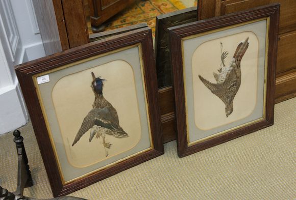 Bonhams : A pair of Victorian trophy feather pictures