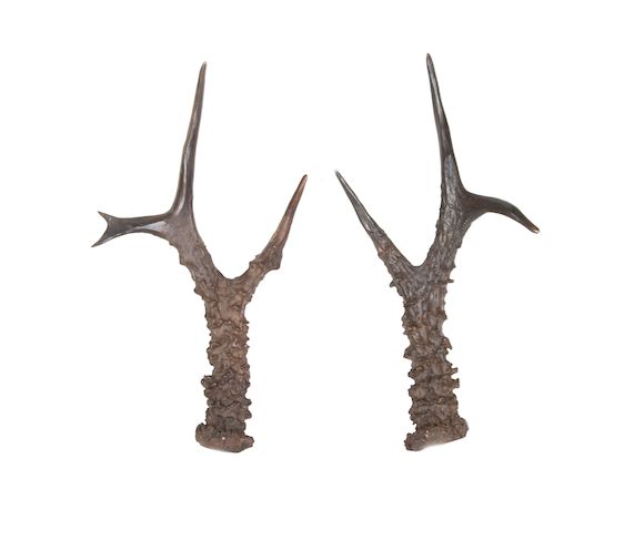 Bonhams : A pair of bronze roebuck antlers