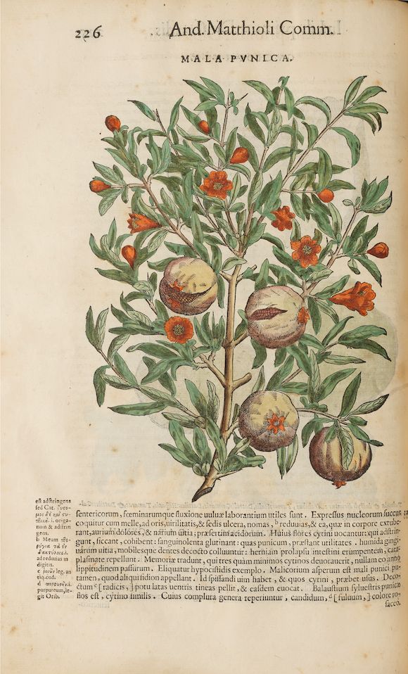Bonhams : MATTIOLI (PIETRO ANDREA) Commentarii in libros sex Pedacii ...