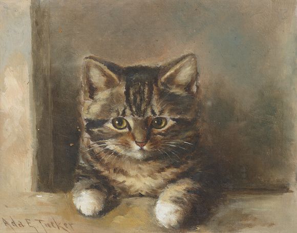 Bonhams : Ada Eliza Tucker (British, exh. 1881-1928) Head of a cat ...