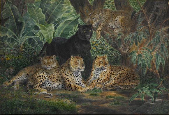 Bonhams : P.H. Staines (British, 19th Century) Leopards at rest