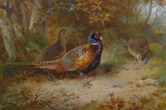 Bonhams : Archibald Thorburn (British, 1860-1935) Autumn Covert