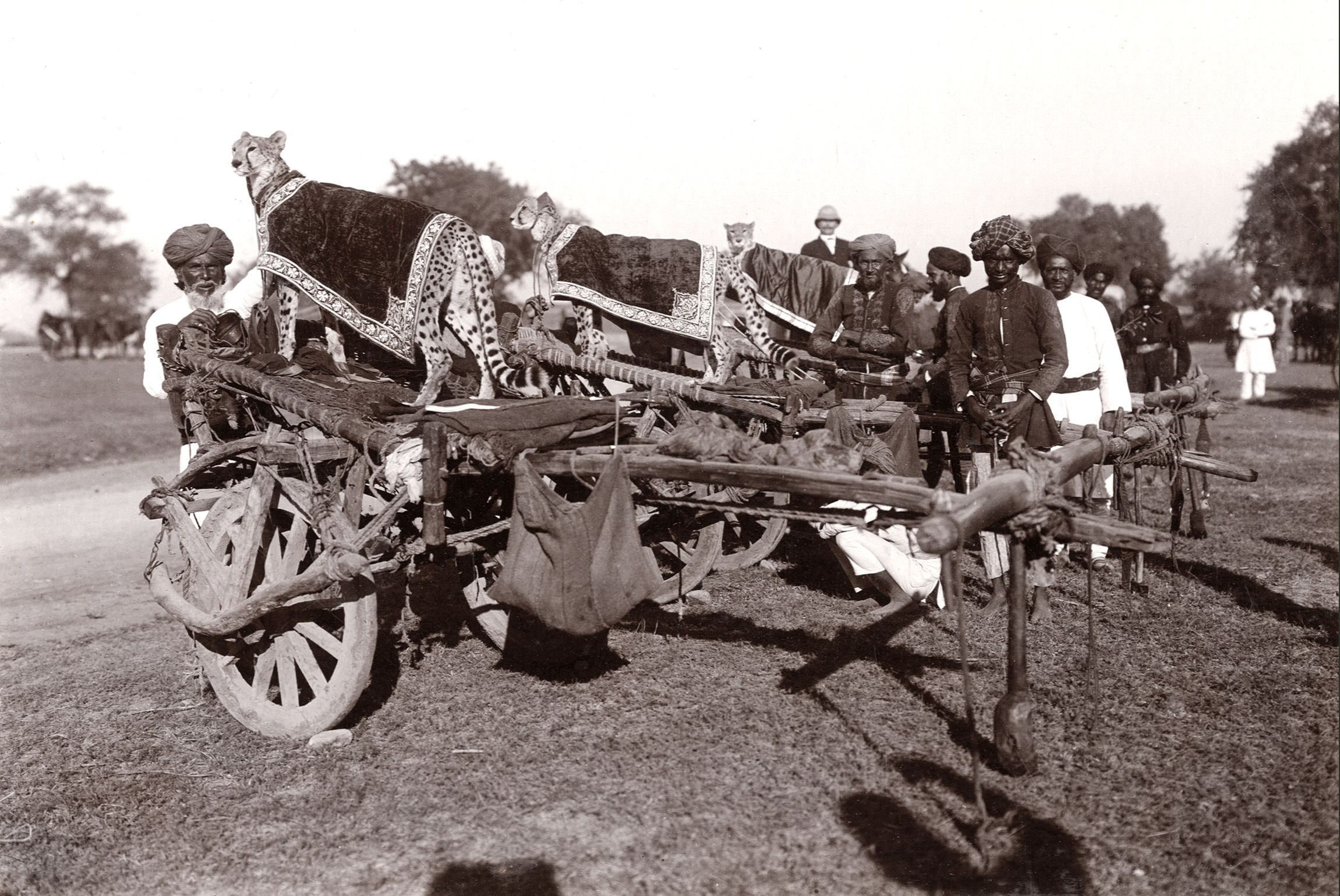 Bonhams : HYDERABAD A good album, including a visit to the Nizam by the ...