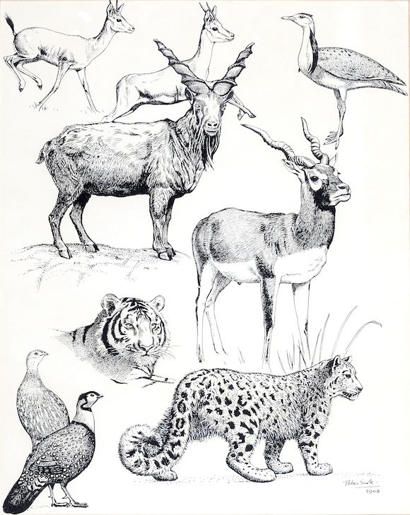 Bonhams : Peter Markham Scott (British, 1909-1989) Studies of wild ...