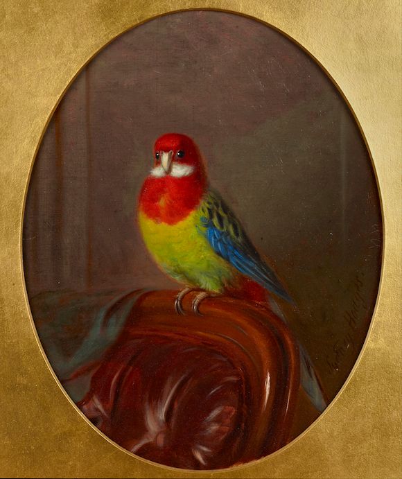 Bonhams : Sydney Hodges (British, 1829-1900) Study of a Parakeet