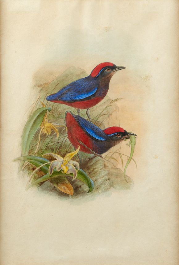 Bonhams : Attributed to William Matthew Hart (Irish 1830-1908) Drawing ...