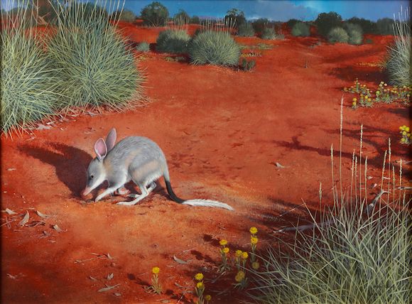 Bonhams : William T Cooper (Australian, born 1934) Bilby