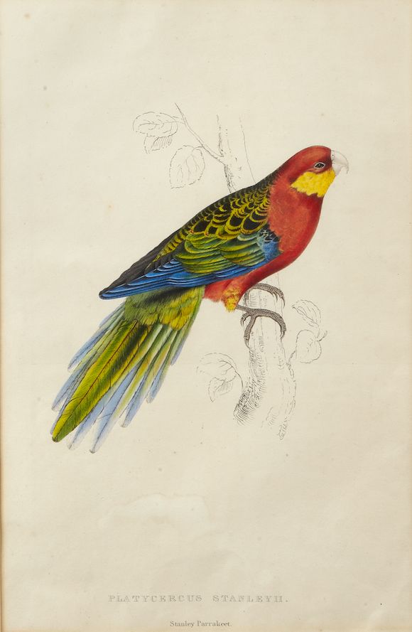 Bonhams : John Gould Stanley Parakeet; Rainbow Parakeet; The earl of ...