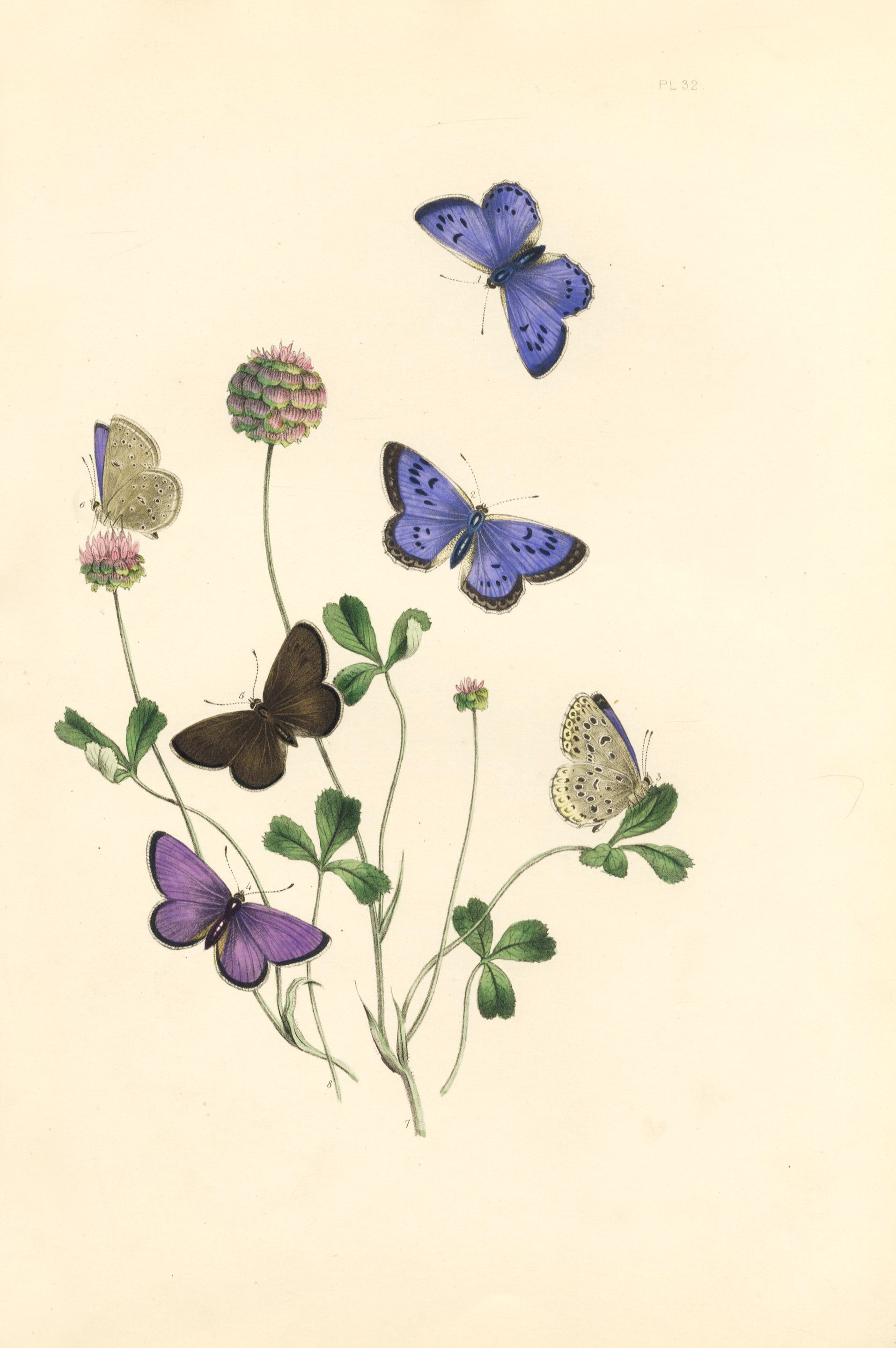 Bonhams : HUMPHREYS (HENRY NOEL) and JOHN OBADIAH WESTWOOD British ...