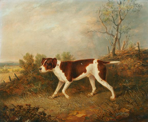 Bonhams : John Pitman (British) Major John William's favourite pointer ...