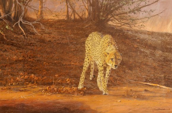 Bonhams : Kim Donaldson (South African, born 1952) Cheetah stalking