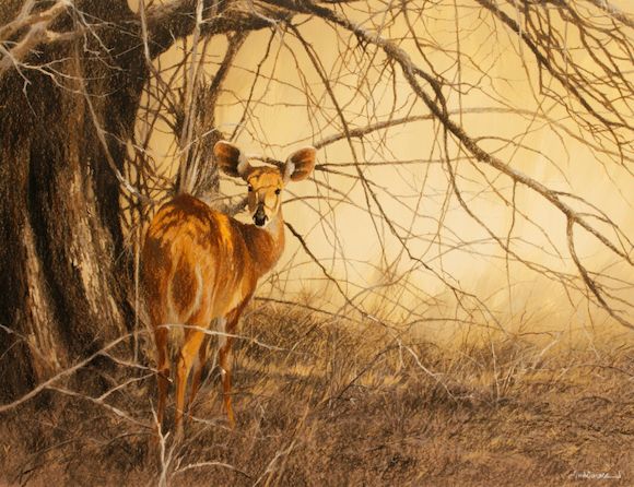 Bonhams : Kim Donaldson (South African, born 1952) Bushbuck