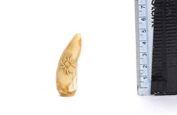 Bonhams : A tooth netsuke carved with a spider By Seiyodo Tomiharu ...